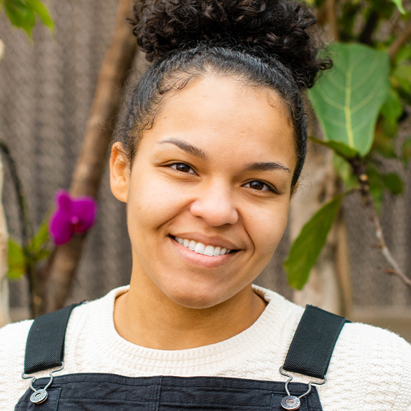 About Us - Urban Wood Economy