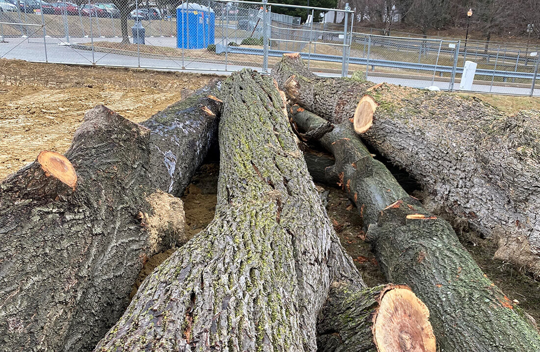 What We Do - Unified Wood Economy